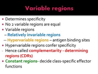 Immunochemistry | PPTX