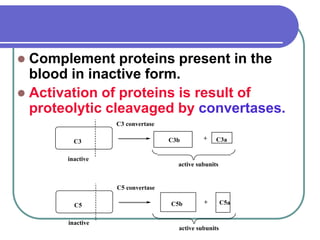 Immunochemistry | PPT