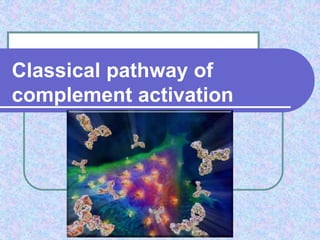Immunochemistry | PPT