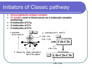 Immunochemistry | PPT