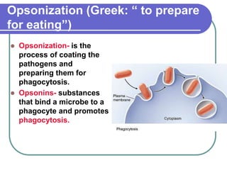Immunochemistry | PPT