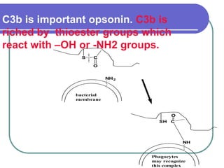 Immunochemistry | PPT