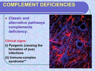 Immunochemistry | PPT