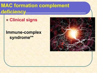 Immunochemistry | PPT