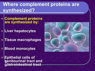 Immunochemistry | PPT