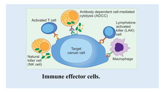 Immunochemistry.pptx immuno chemistryy | PPTX