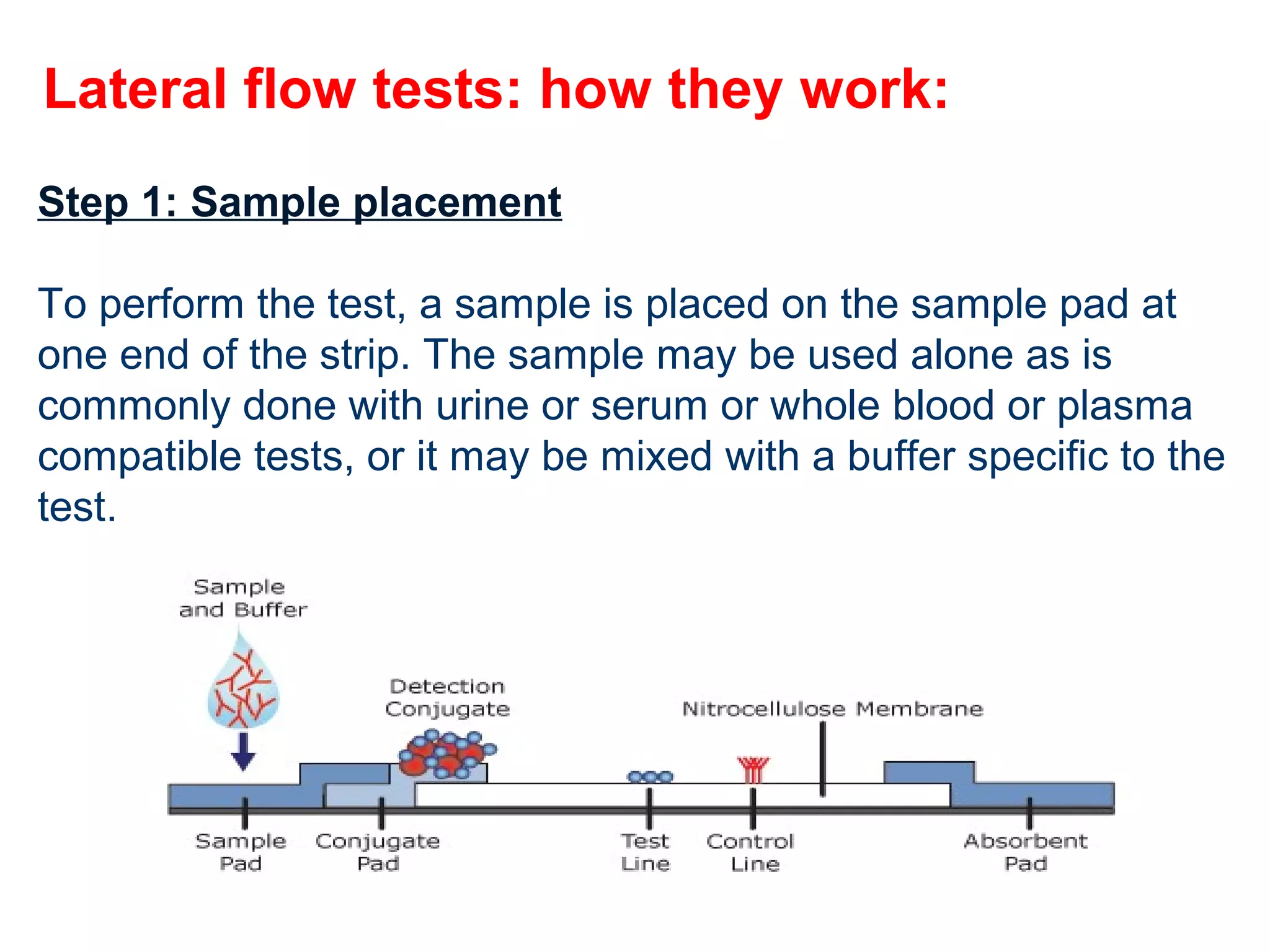 Immunochromatographic assays | PPT