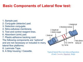 Immunochromatographic assays | PPT