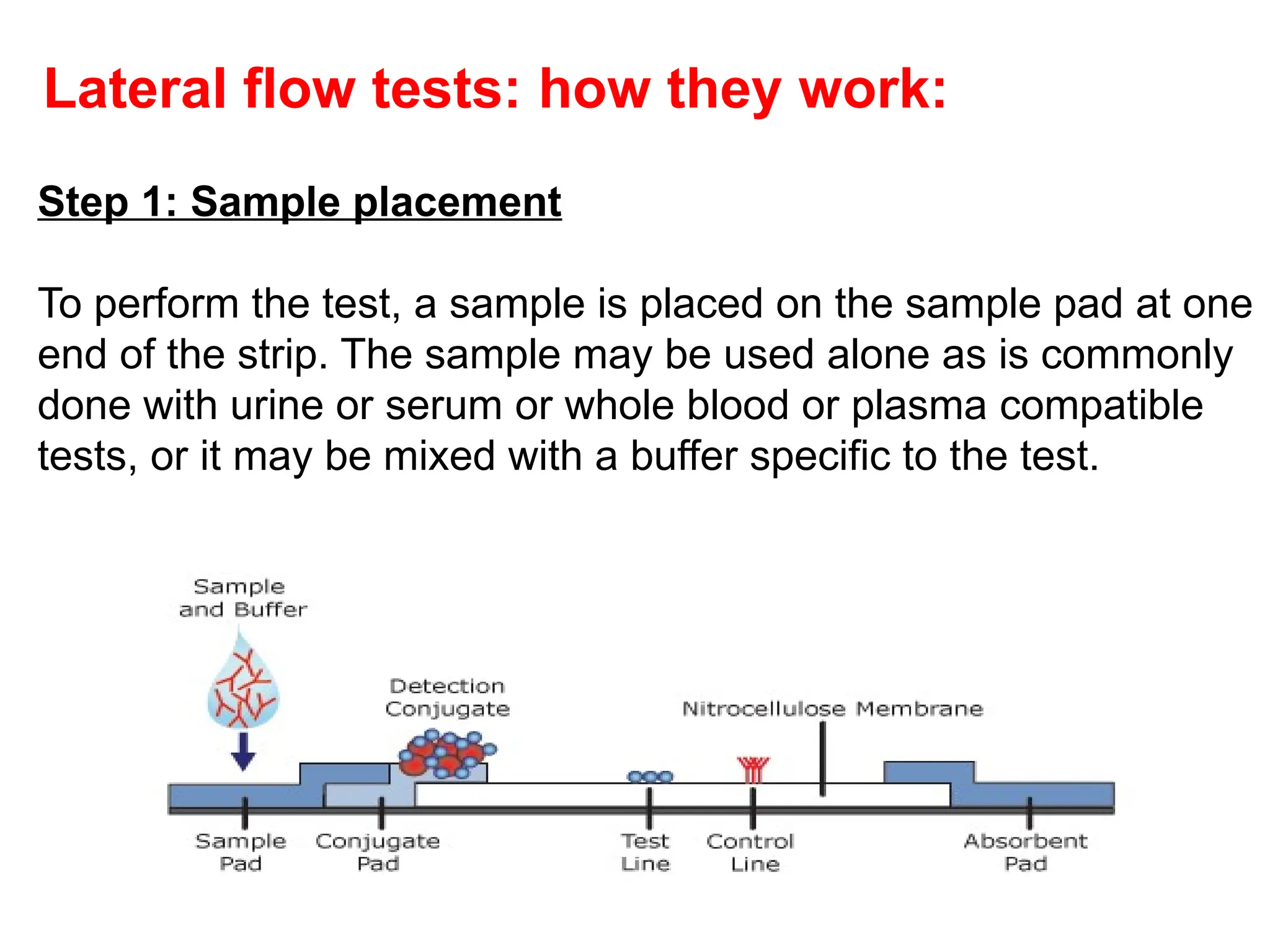 principle of immunochromatography and dipstick strip test.pptx