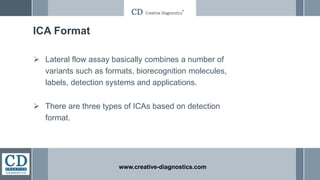 Immunochromatography guide | PPTX