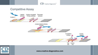 Immunochromatography guide | PPTX