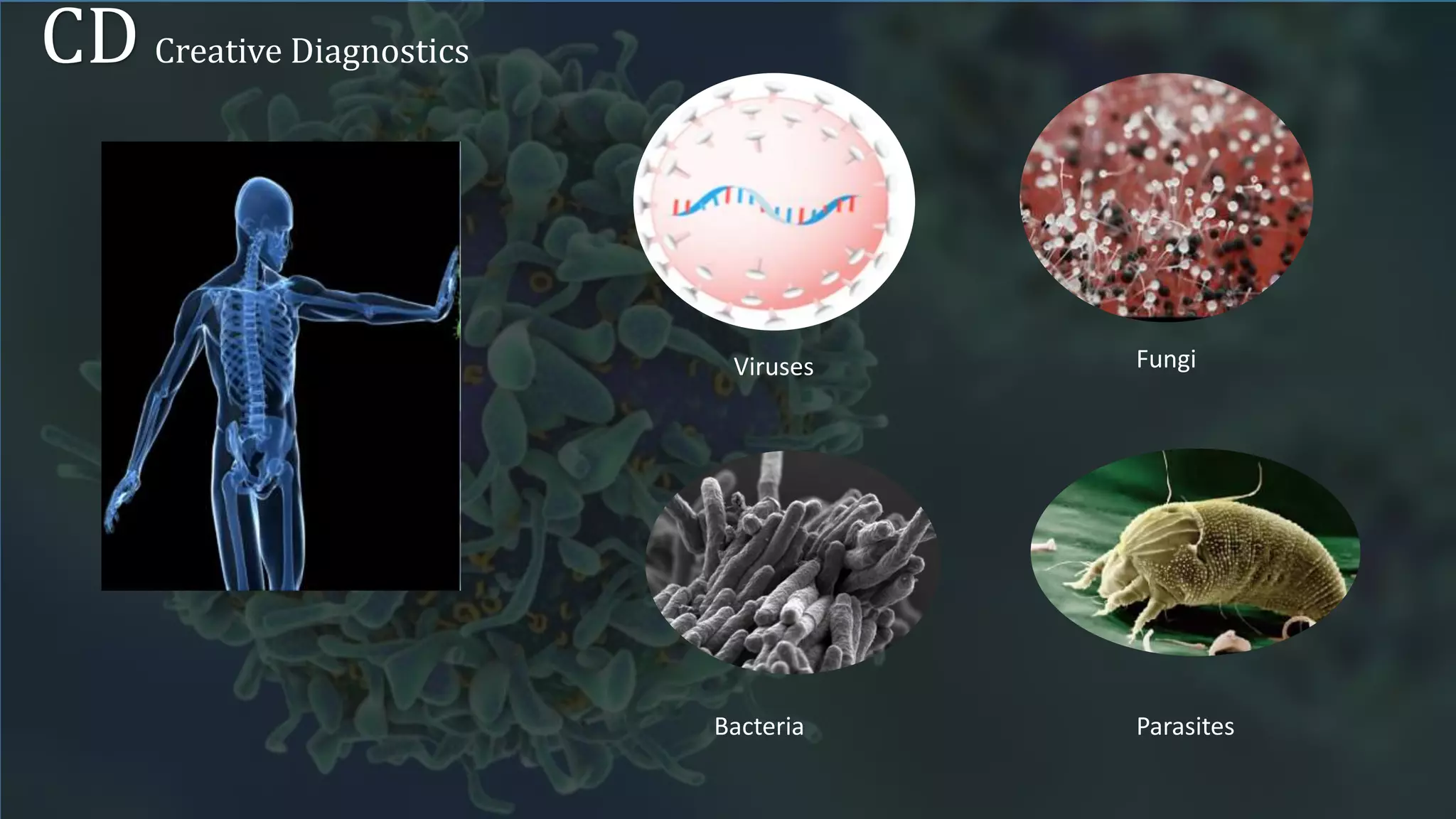 Immunocyte markers | PPT