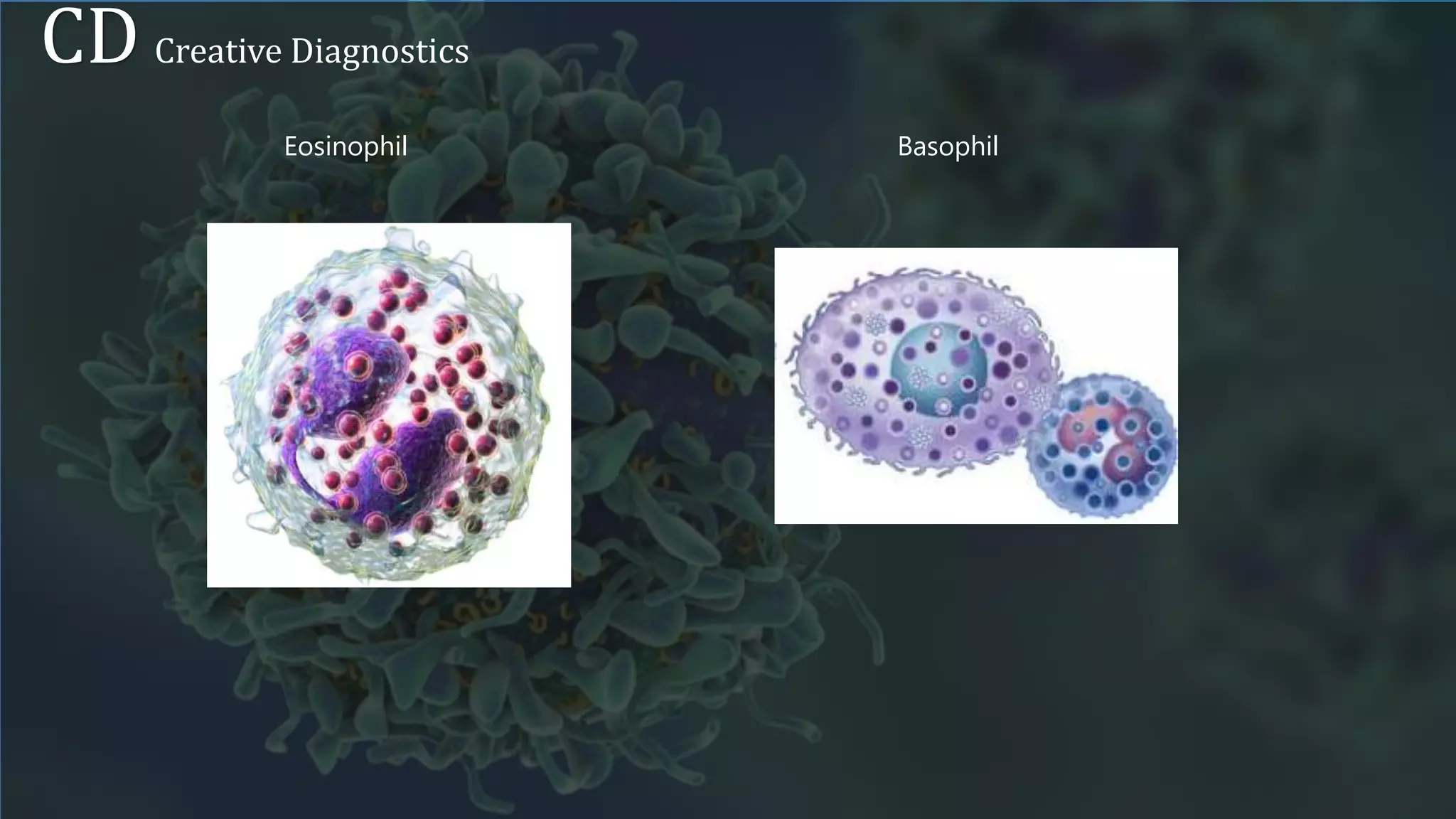 Immunocyte markers | PPT