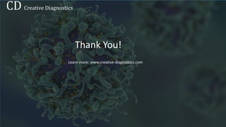 Immunocyte markers | PPT