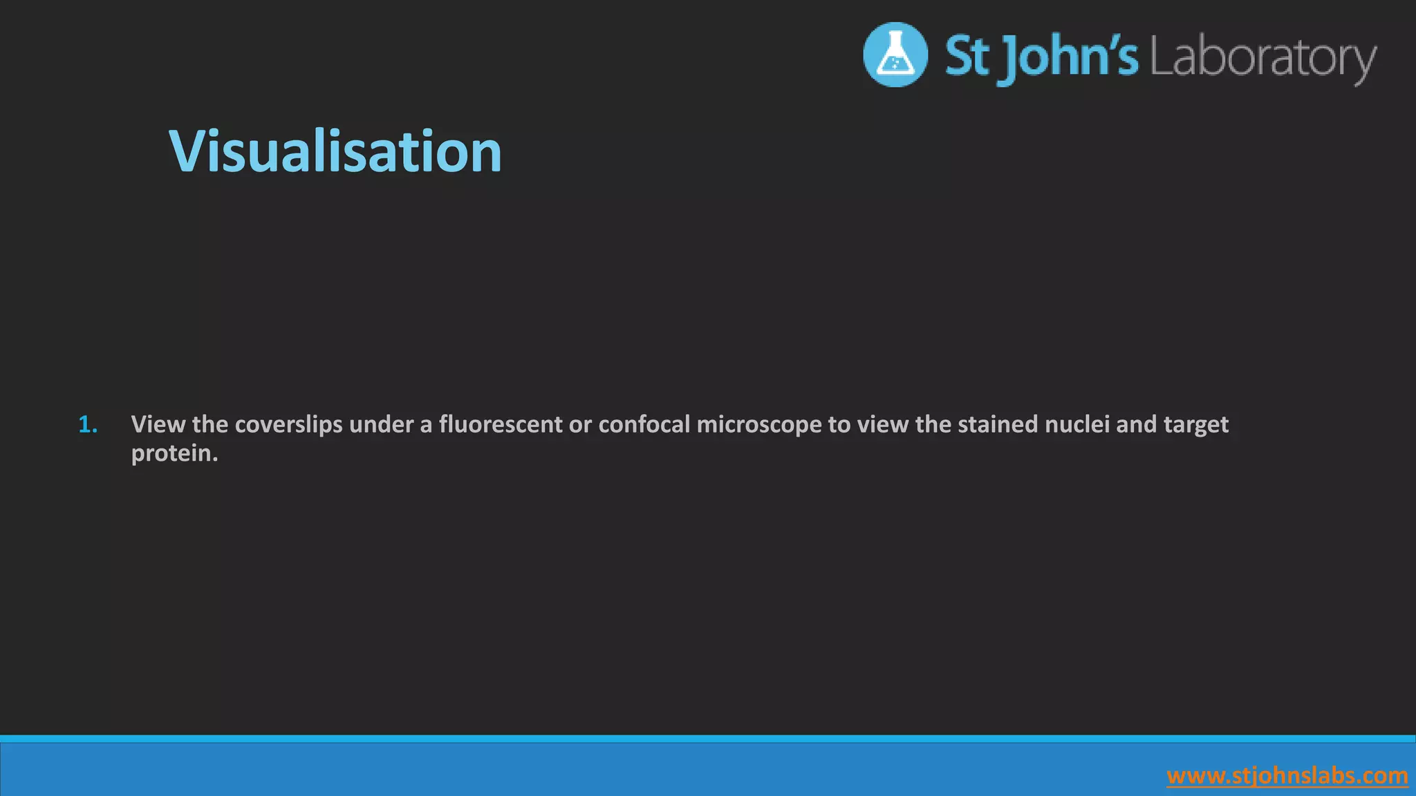 Immunocytochemistry Protocol | PPTX