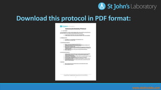 Immunocytochemistry Protocol | PPTX
