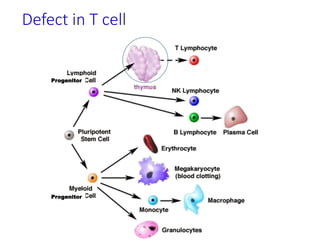 Immunodeficiency | PPTX