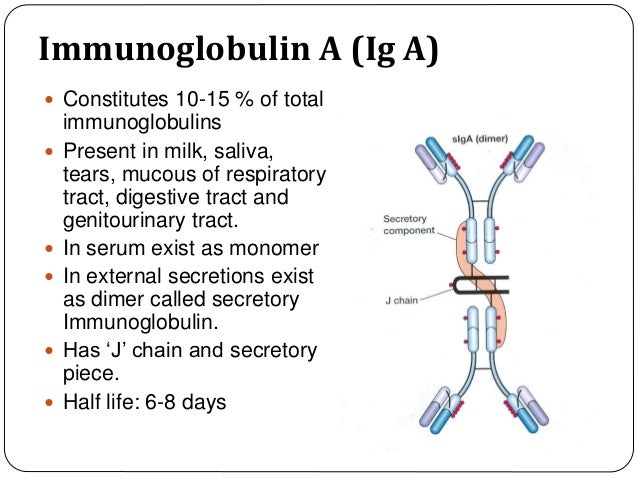Immunoglobulins, complement and immunodefeciency disorders