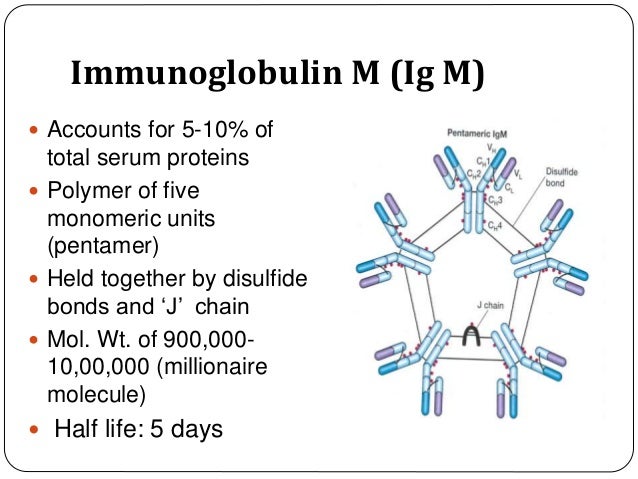 Immunoglobulins, complement and immunodefeciency disorders