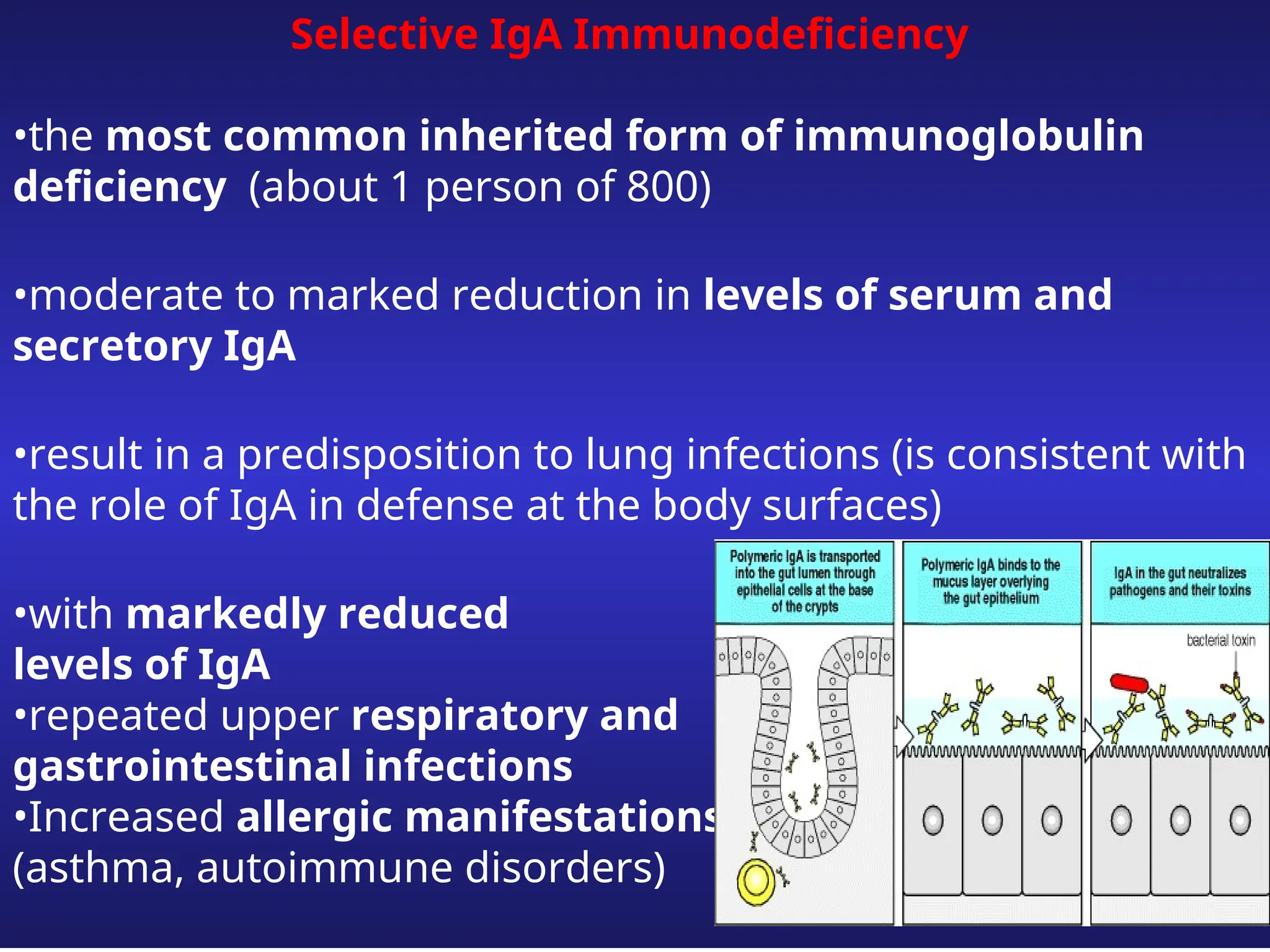 immunodeficiency 1.ppt Kazan state medical university | PPT