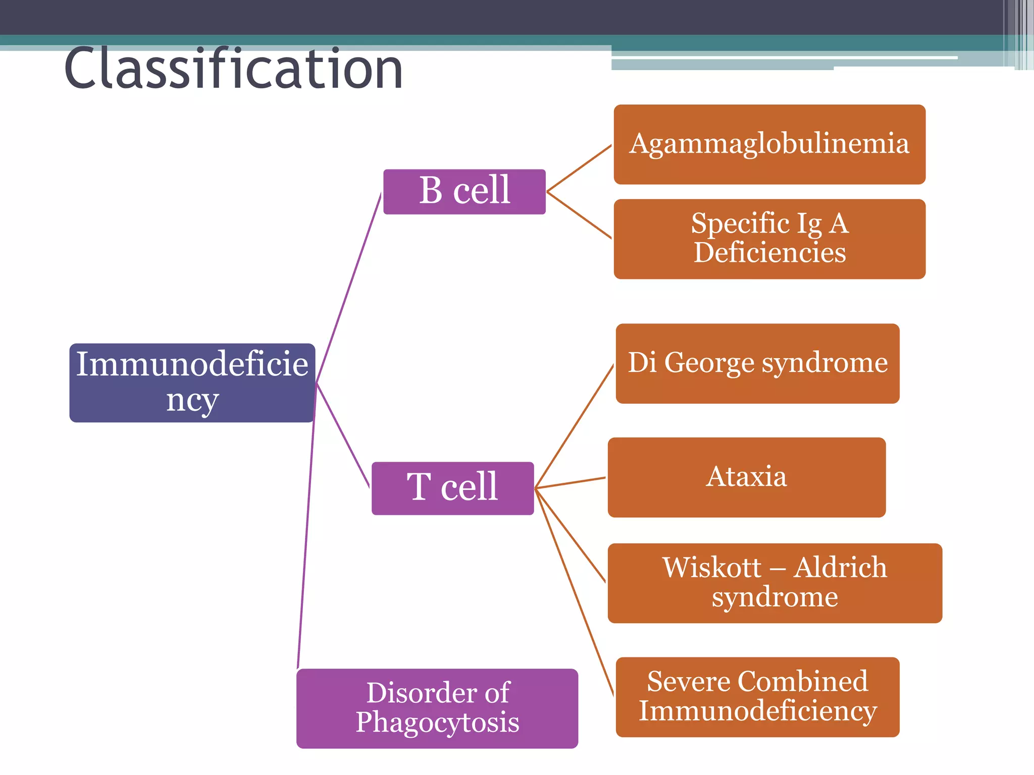 Immunodeficiency Disorder | PPTX