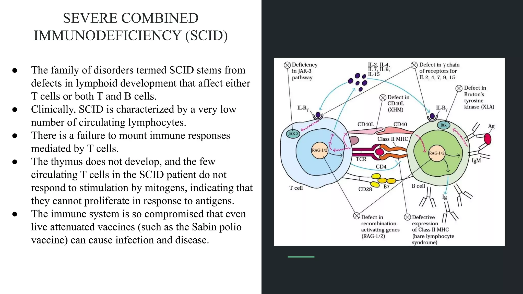 Immunodeficiency diseases.pdf | Endocrine and Metabolic Diseases ...