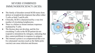 Immunodeficiency diseases.pdf | Endocrine and Metabolic Diseases ...