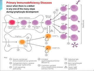 Immunodeficiency disorders,2010 | PPT