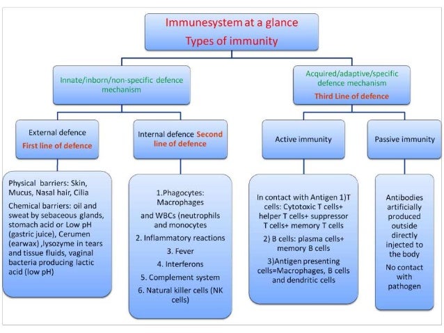 Immunodeficiency in children