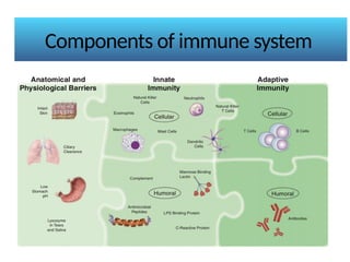 Immunodeficiency in children; Diagnosis and management | PPTX