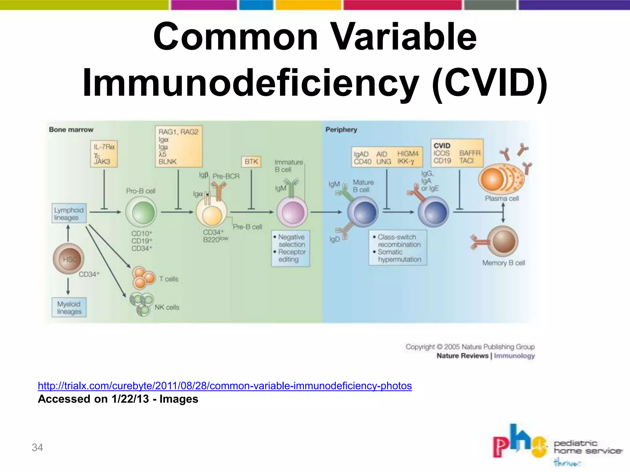 Immunodeficiency syndromes part 2 | PPT