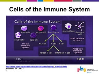 Immunodeficiency syndromes part 2 | PPT
