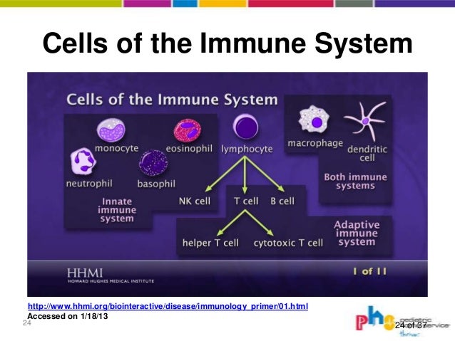 Immunodeficiency syndromes part 2