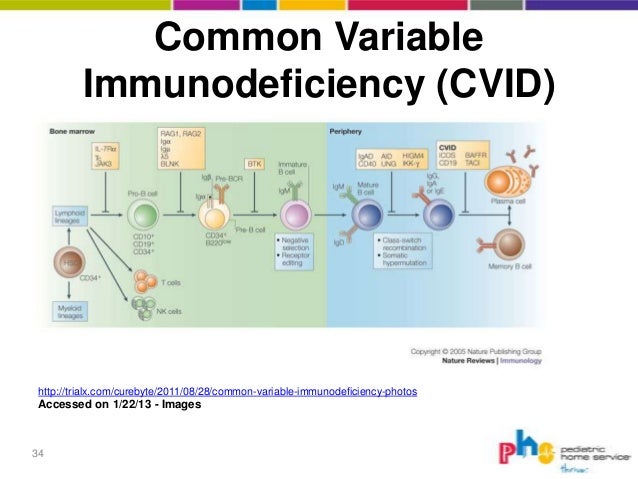 Immunodeficiency syndromes part 2