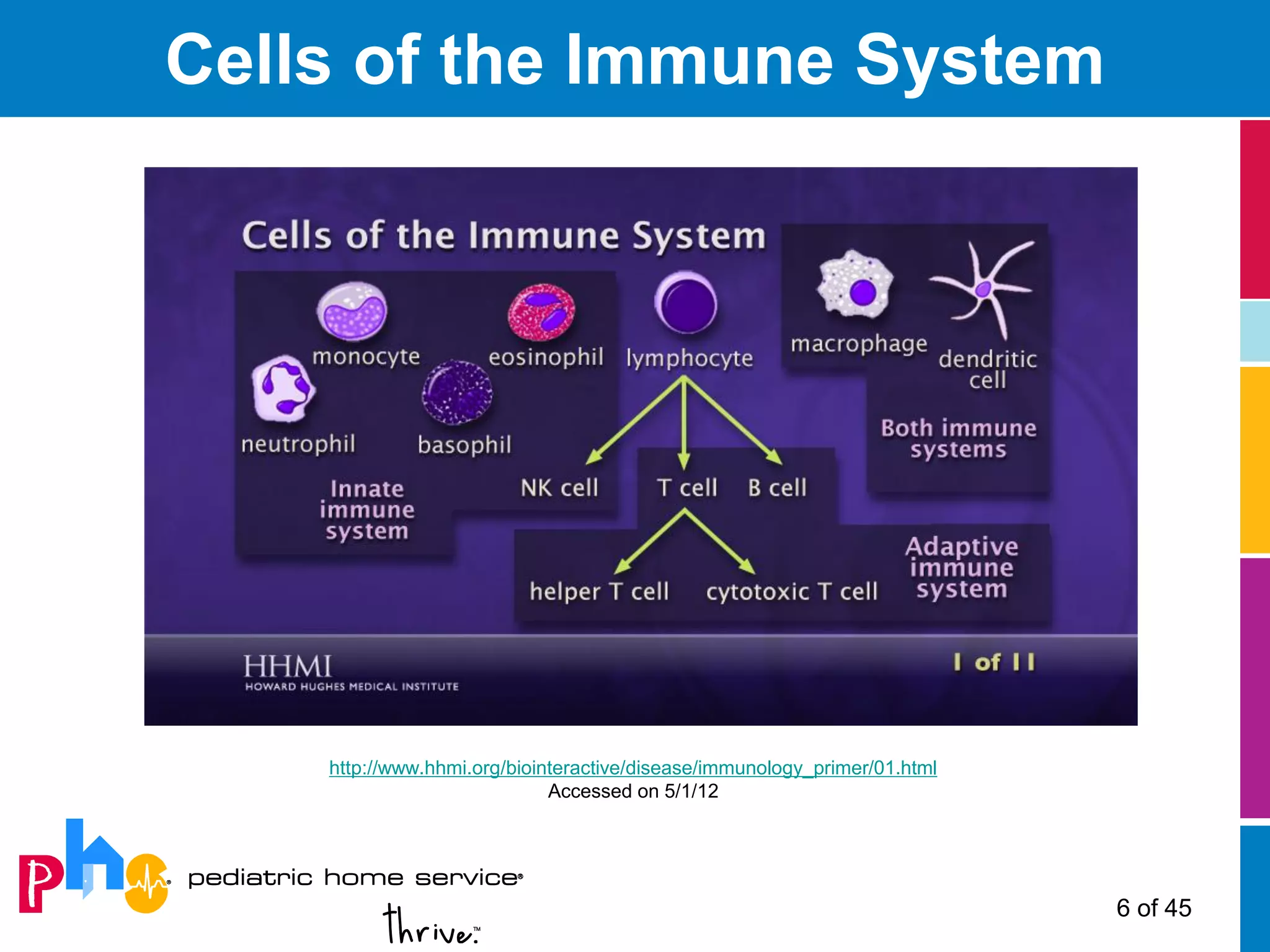 Immunodeficiency Syndromes: Part One: Primer on Immunology | PDF