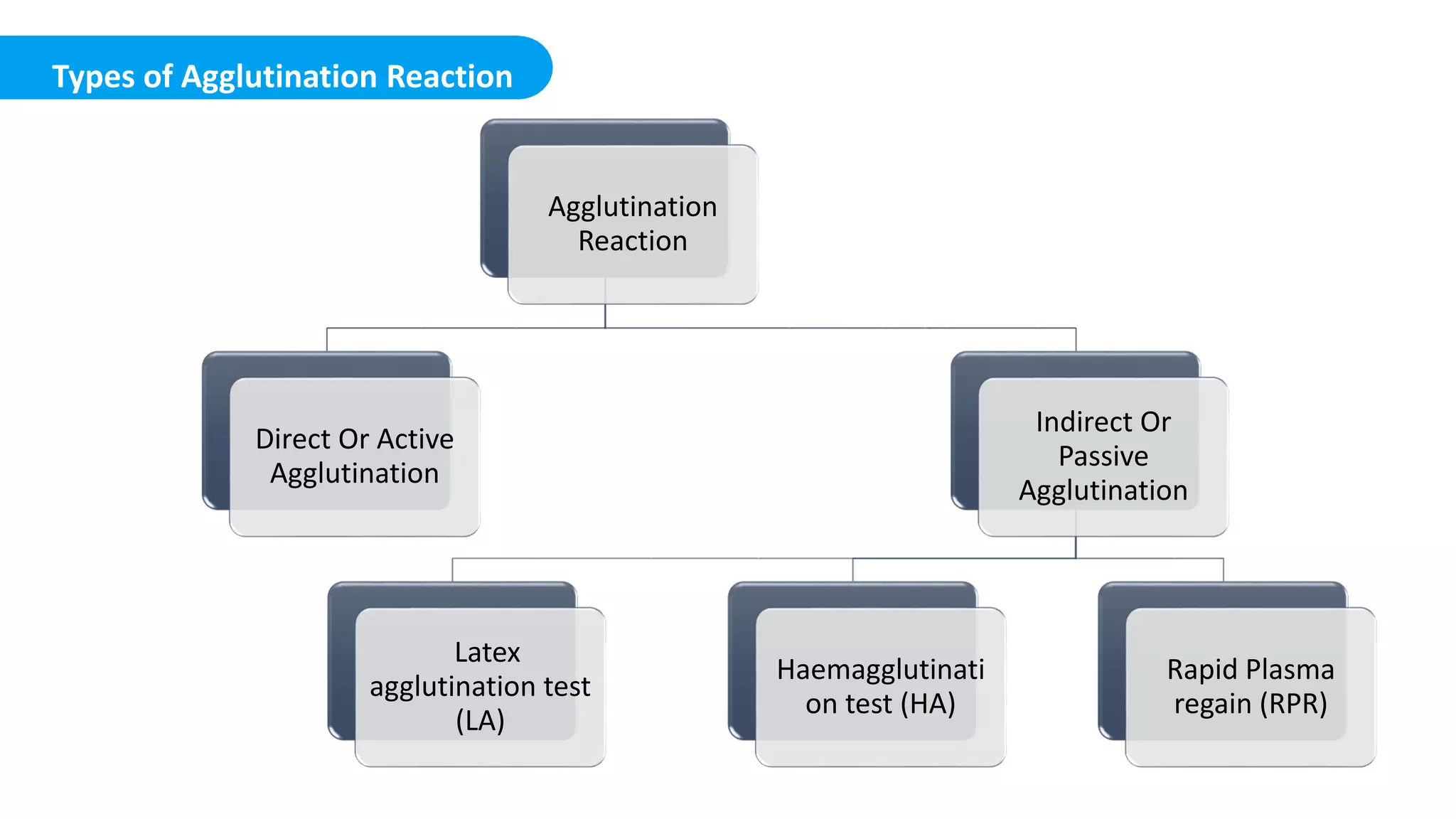 Immunodiagnostic methods for bacterial infection By Prabhat Dhakal ...