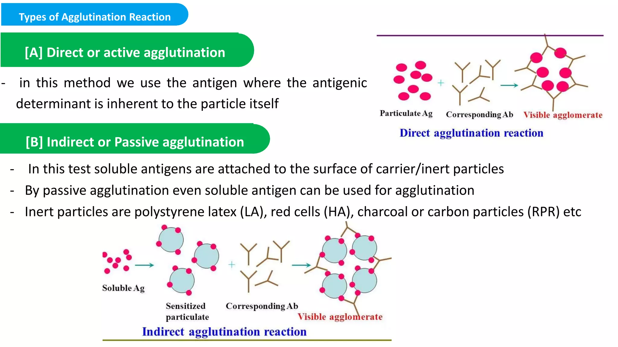 Immunodiagnostic methods for bacterial infection By Prabhat Dhakal ...