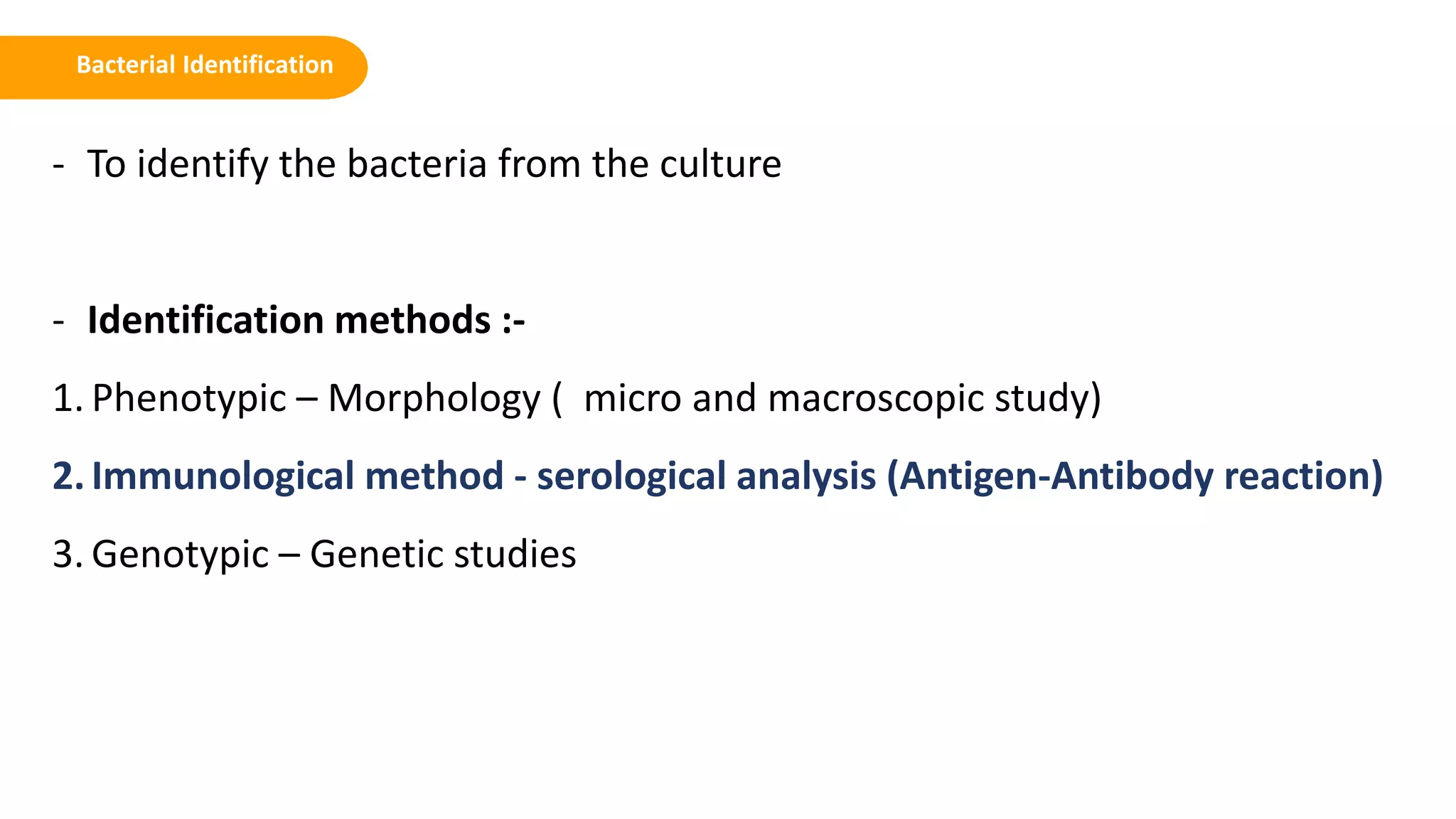 Immunodiagnostic methods for bacterial infection By Prabhat Dhakal ...