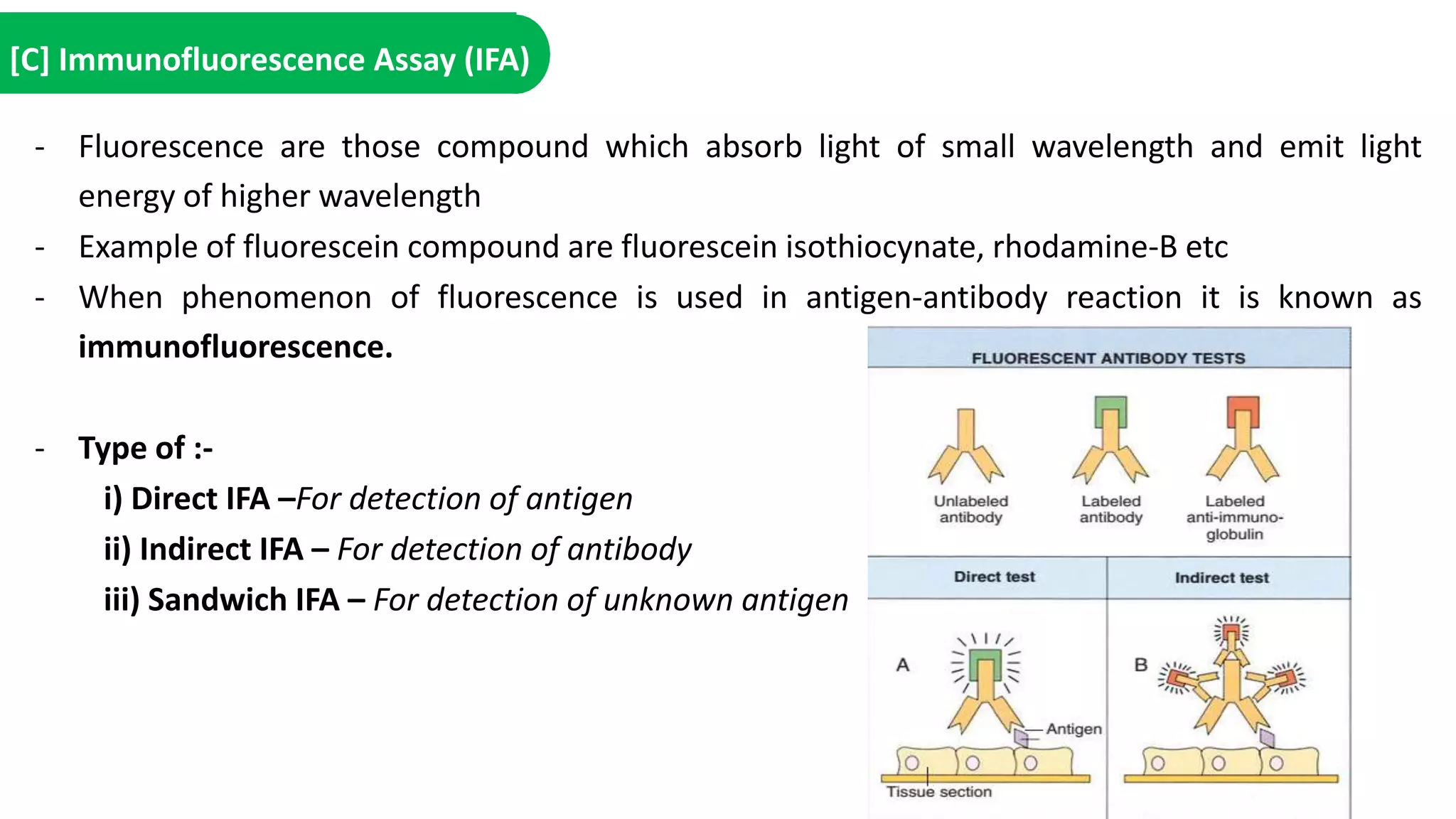 Immunodiagnostic methods for bacterial infection By Prabhat Dhakal ...