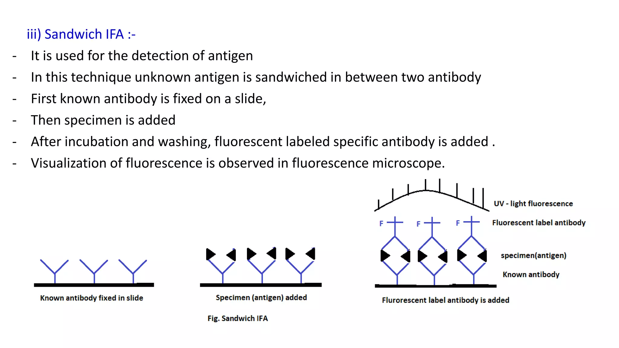 Immunodiagnostic methods for bacterial infection By Prabhat Dhakal ...