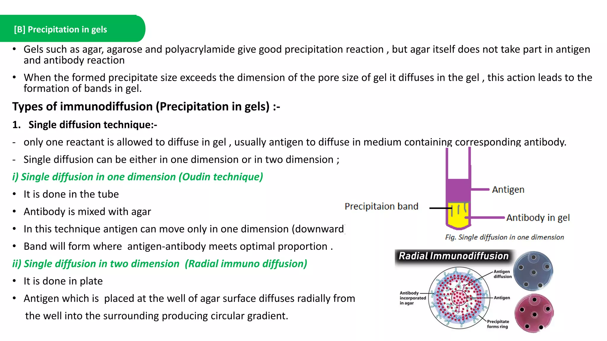 Immunodiagnostic methods for bacterial infection By Prabhat Dhakal ...