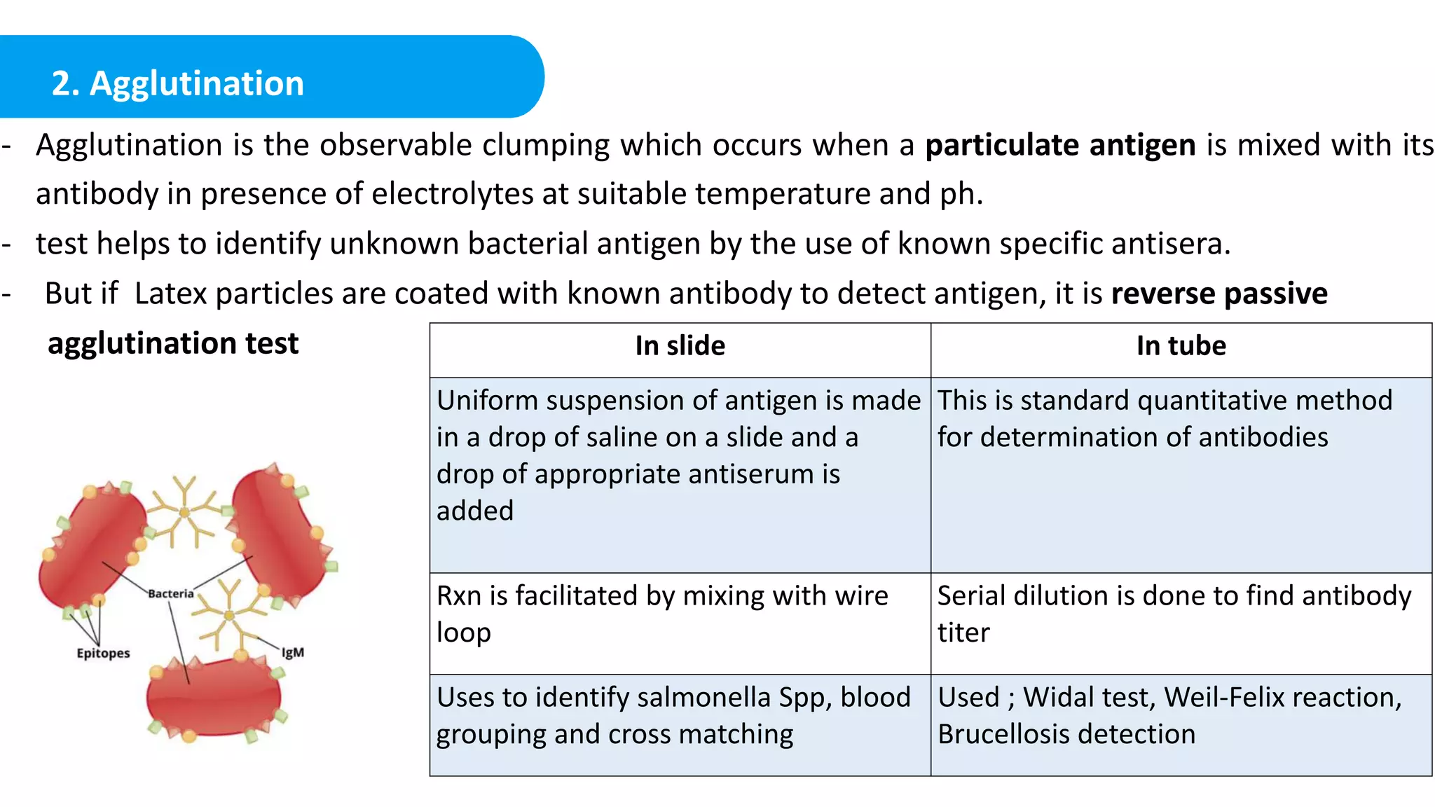 Immunodiagnostic methods for bacterial infection By Prabhat Dhakal ...
