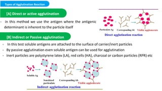Immunodiagnostic methods for bacterial infection By Prabhat Dhakal | PPT