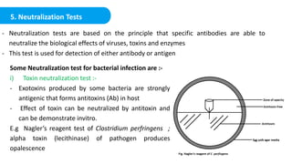 Immunodiagnostic methods for bacterial infection By Prabhat Dhakal | PPT