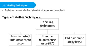 Immunodiagnostic methods for bacterial infection By Prabhat Dhakal | PPT
