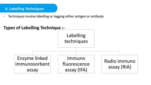 Immunodiagnostic methods for bacterial infection By Prabhat Dhakal ...