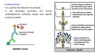 Immunodiagnostic methods for bacterial infection By Prabhat Dhakal | PPT