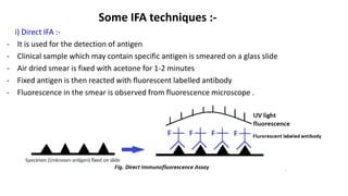 Immunodiagnostic methods for bacterial infection By Prabhat Dhakal | PPT