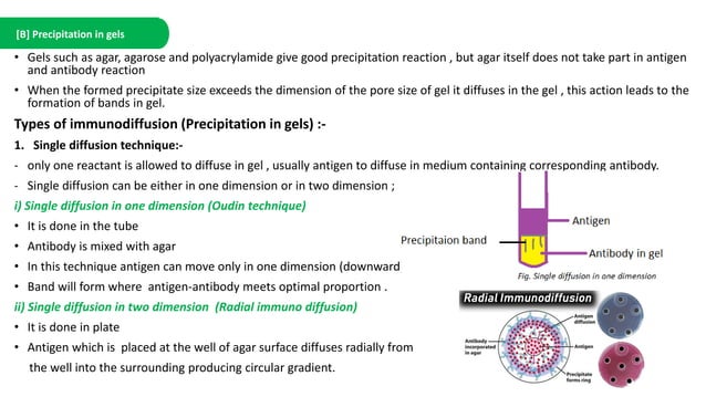 Immunodiagnostic methods for bacterial infection By Prabhat Dhakal ...