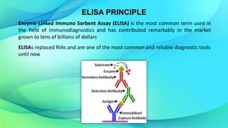 IMMUNODIAGNOSTICS KITS.pdf